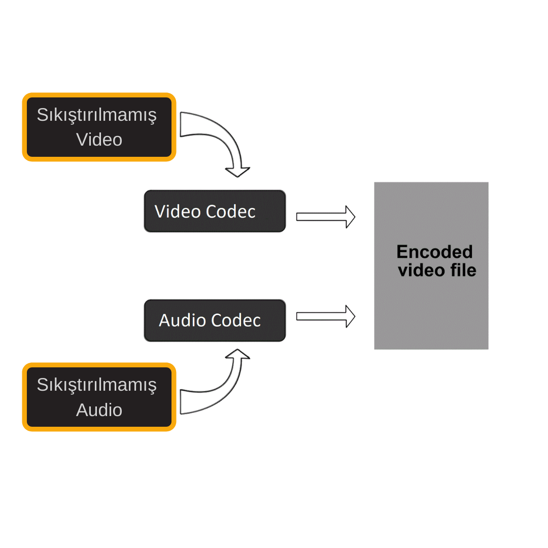 SÖZLÜK | Shootbetter